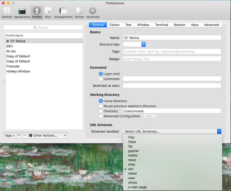 Replace the MacOS Terminal with iTerm2 – Dialed In Config